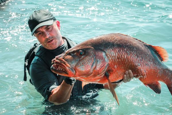 Chasing Monsters - Monsterfischen auf der Spur - Am Golf von Chiriqui ...