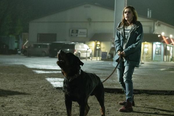 The Silence - The Silence - Spielfilm / Horrorfilm