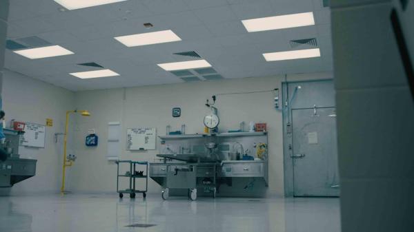 Forensik - Der Schlüssel zur Wahrheit - Jahre später - Report / Recht ...