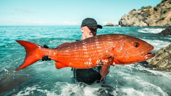 Chasing Monsters - Monsterfischen auf der Spur - Am Golf von Chiriqui ...