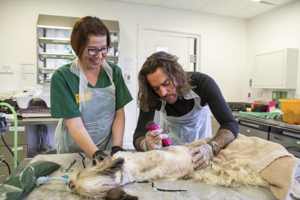 Pete Wicks - Aus Liebe zu Hunden - Die Kartoffel-Welpen - Serie / Doku-Soap