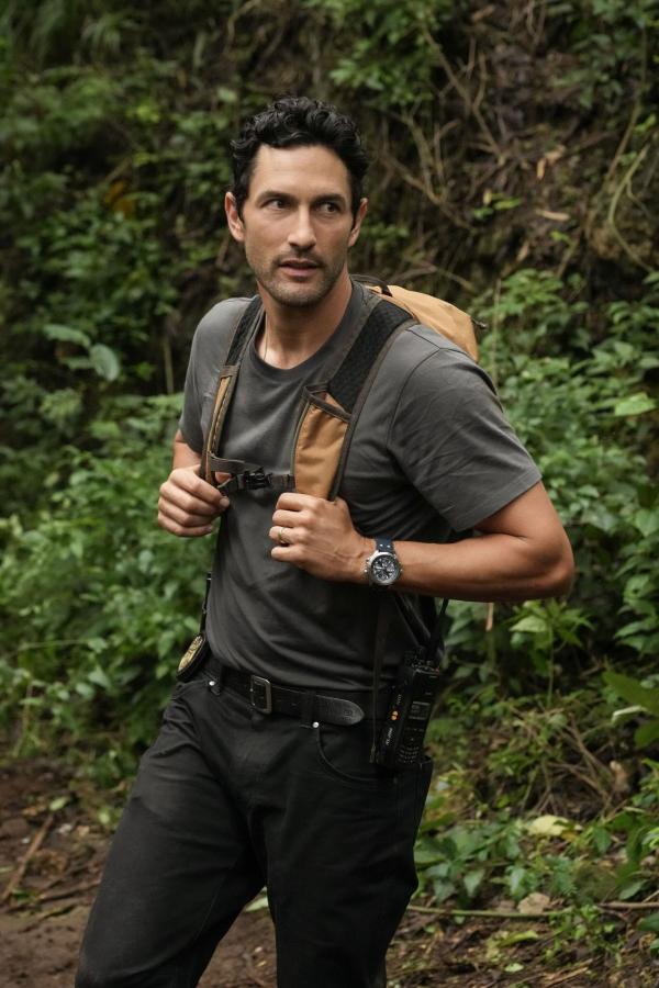 Navy CIS: Hawaii - In der Wildnis - Serie / Krimiserie