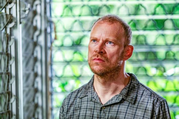 Death in Paradise - Der Bunker - Serie / Krimiserie