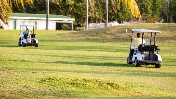 Death in Paradise - Freier Fall - Serie / Krimiserie